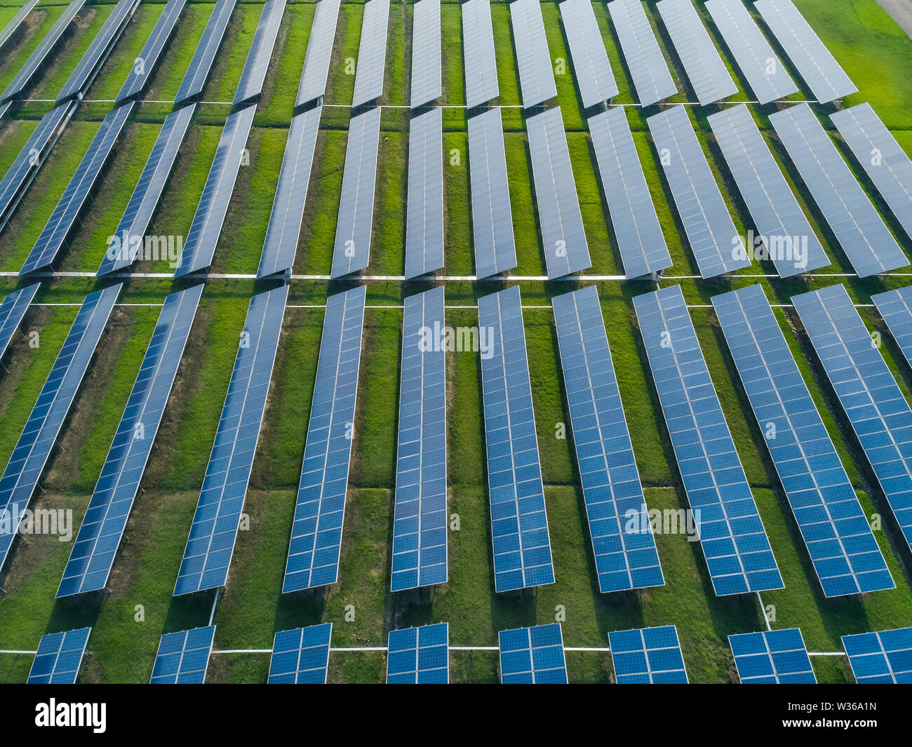 Aerial view of Solar Panels Farm with sunlight. Drone flight over solar ...