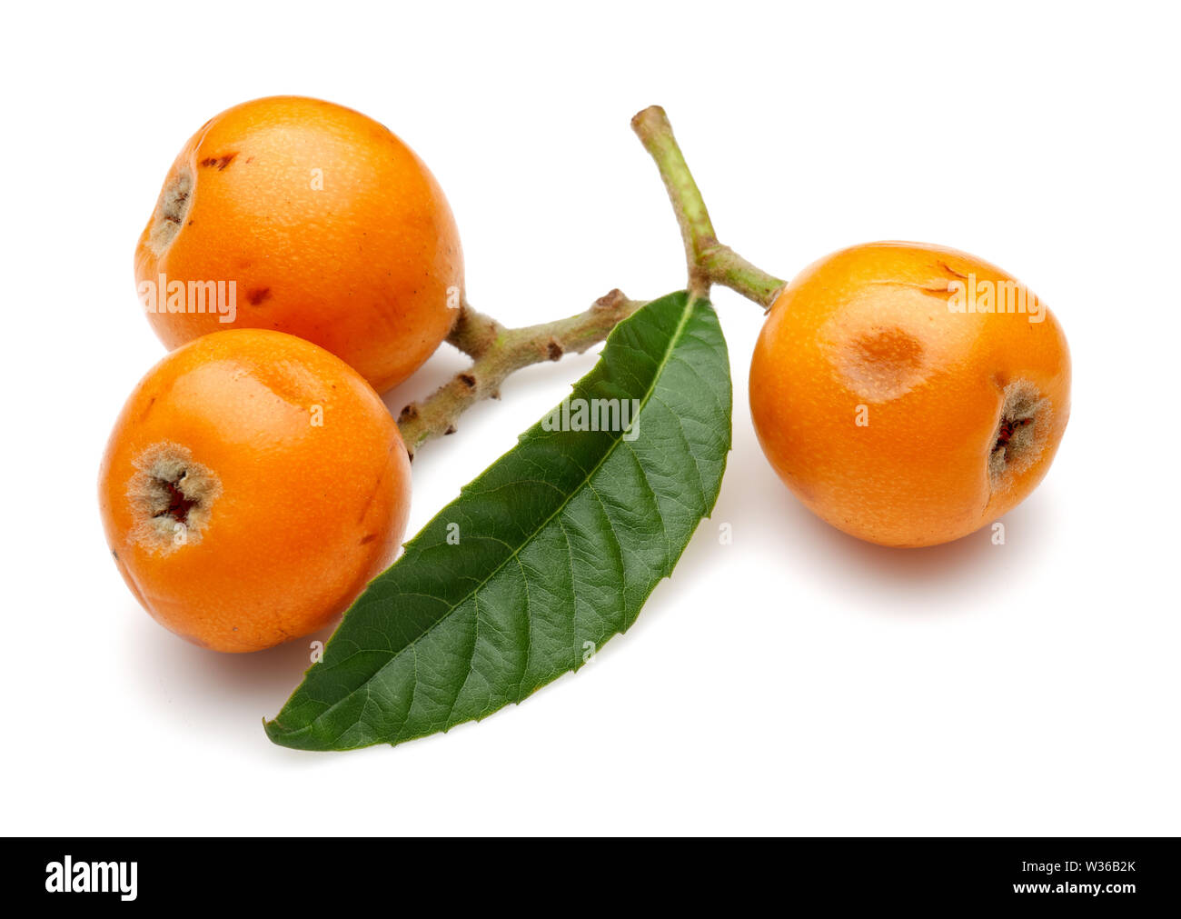 Ripe loquat fruits isolated on white background Stock Photo - Alamy