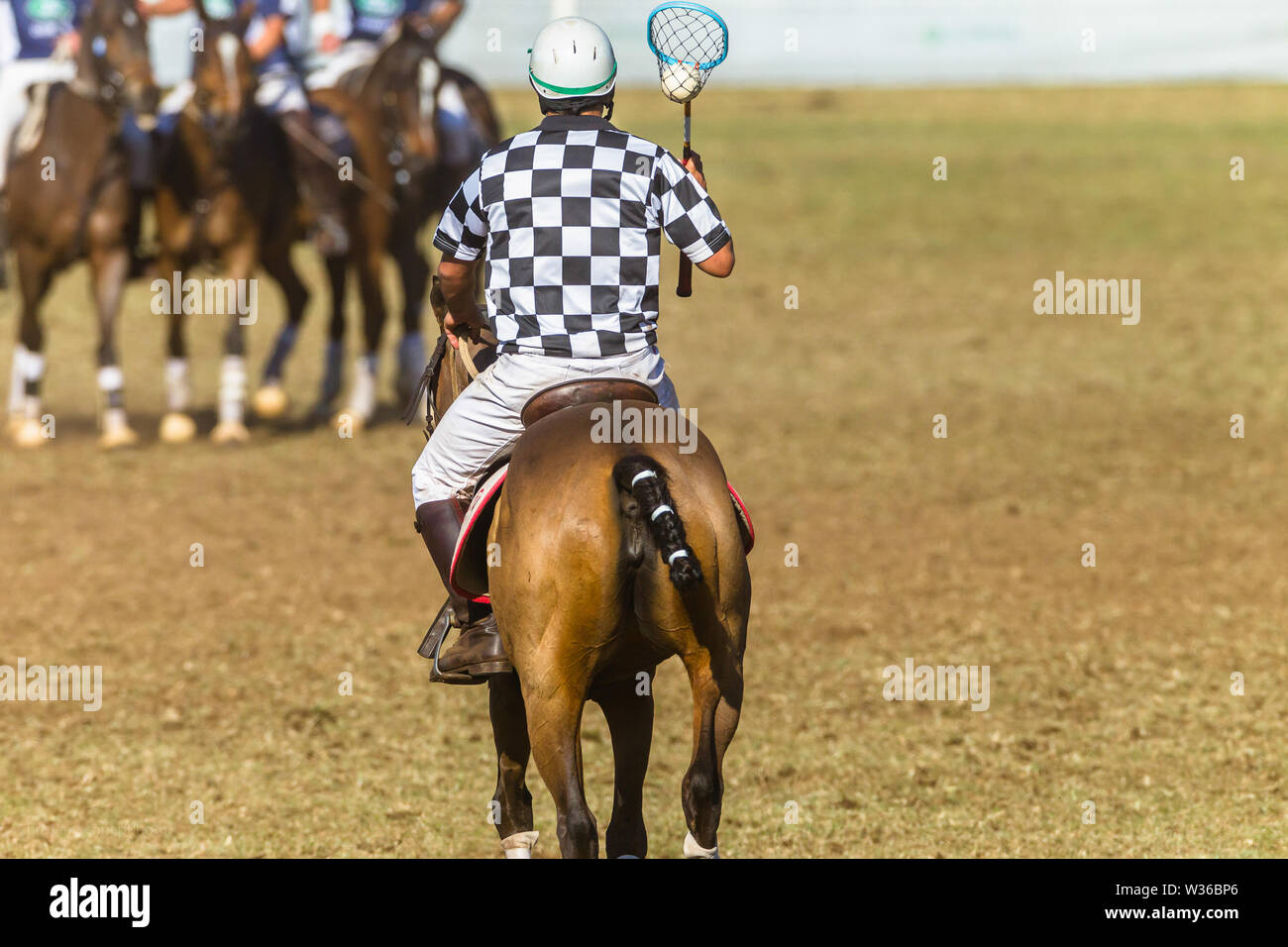 Equestrian Polocrosse game umpire ref with with ball and distant ...