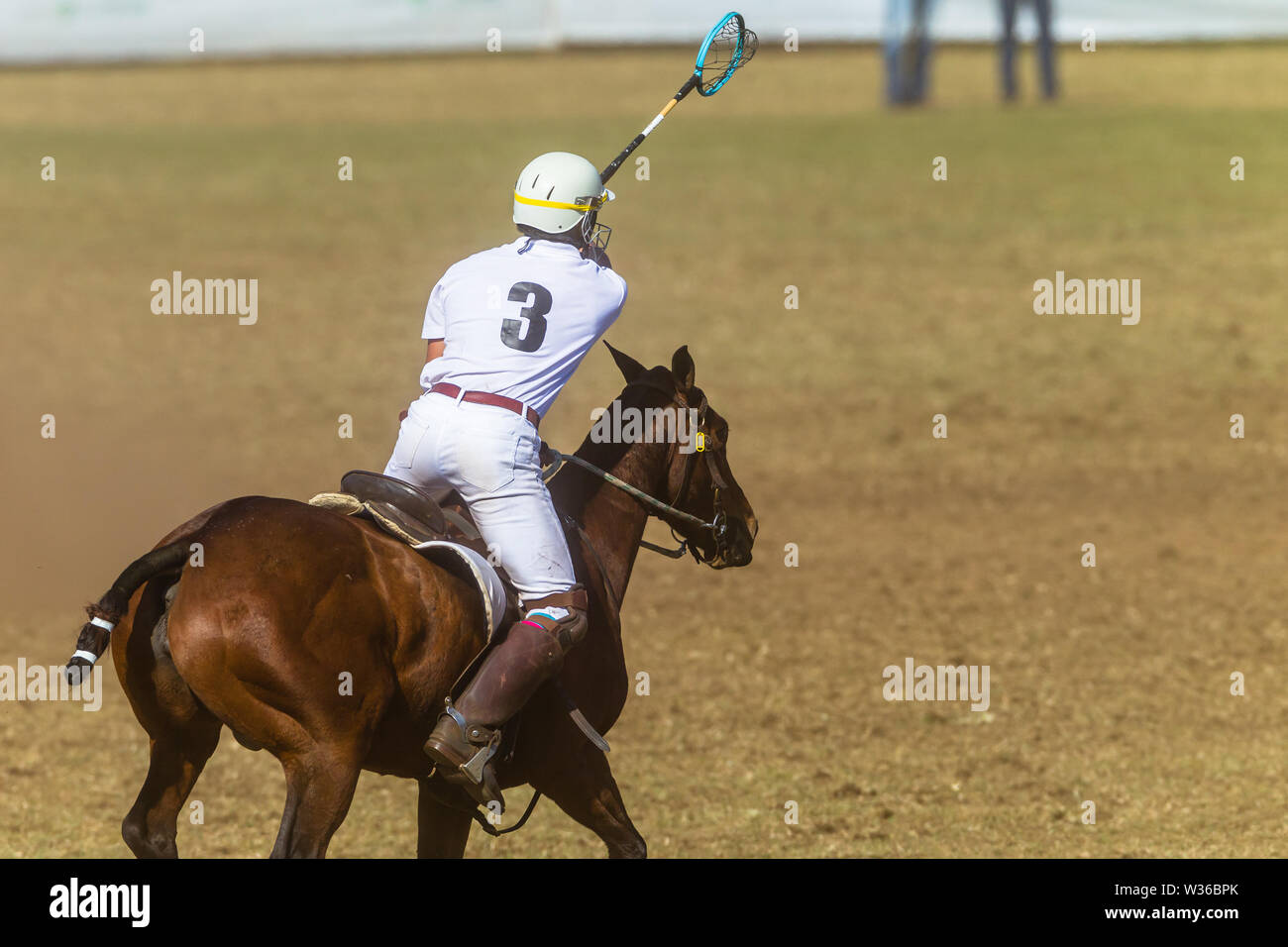 Equestrian skill hi-res stock photography and images - Alamy
