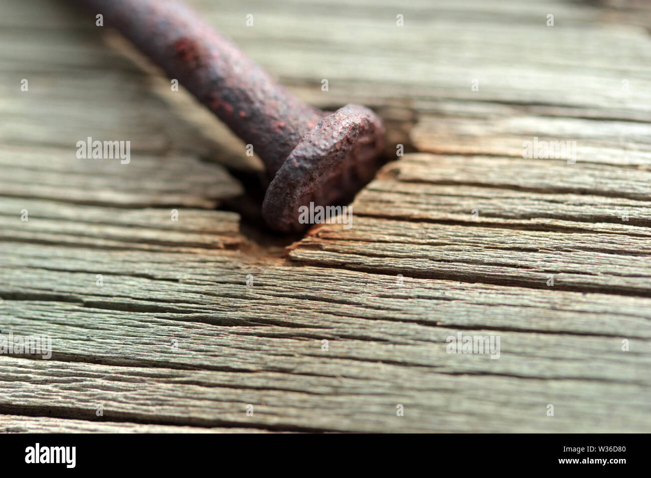 rusty nails and wood texture Stock Photo - Alamy