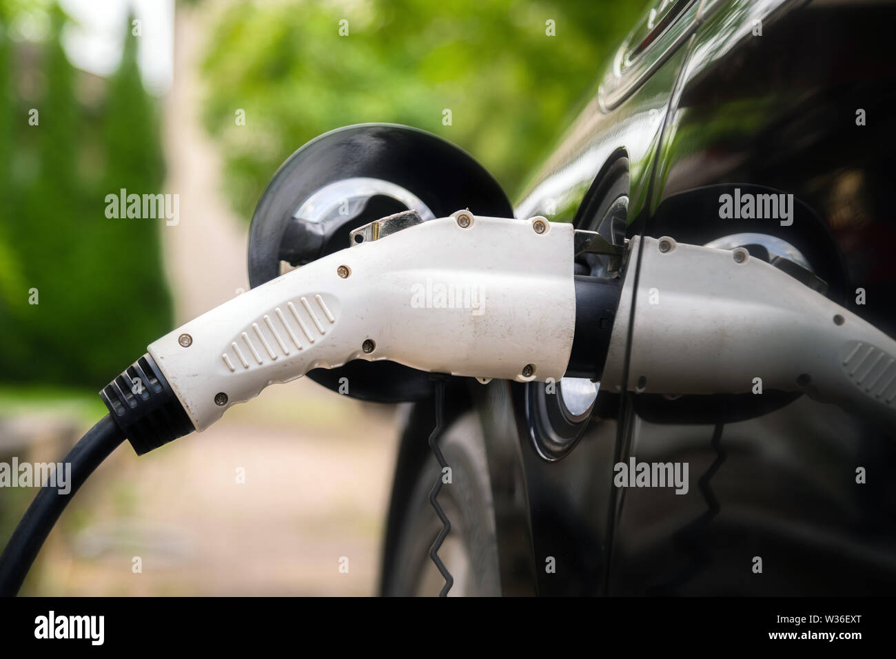 Charger plug in electric car in green environment background. New ...