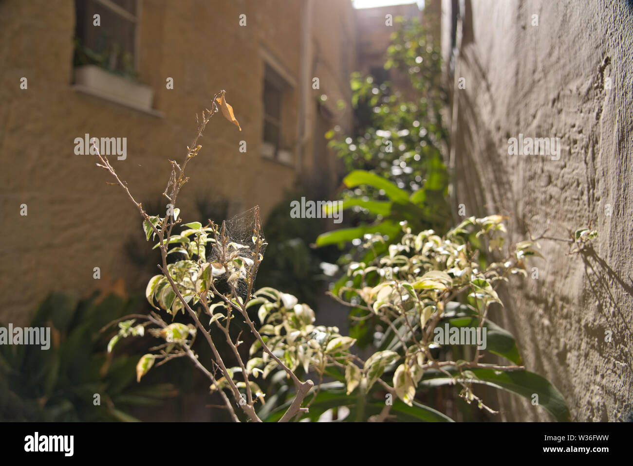 Back ally hi-res stock photography and images - Alamy