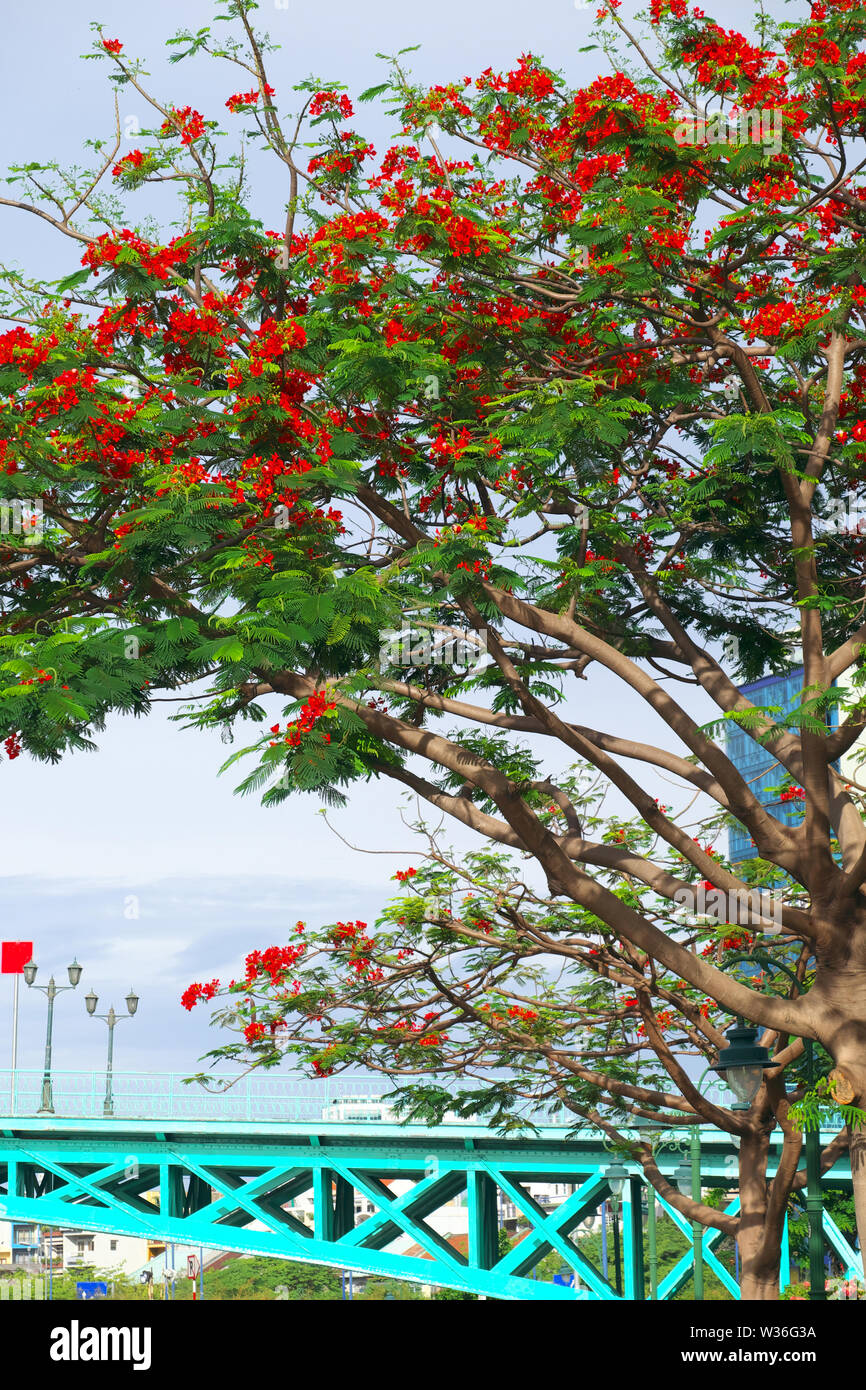 Cyan blue landscape hi-res stock photography and images - Alamy