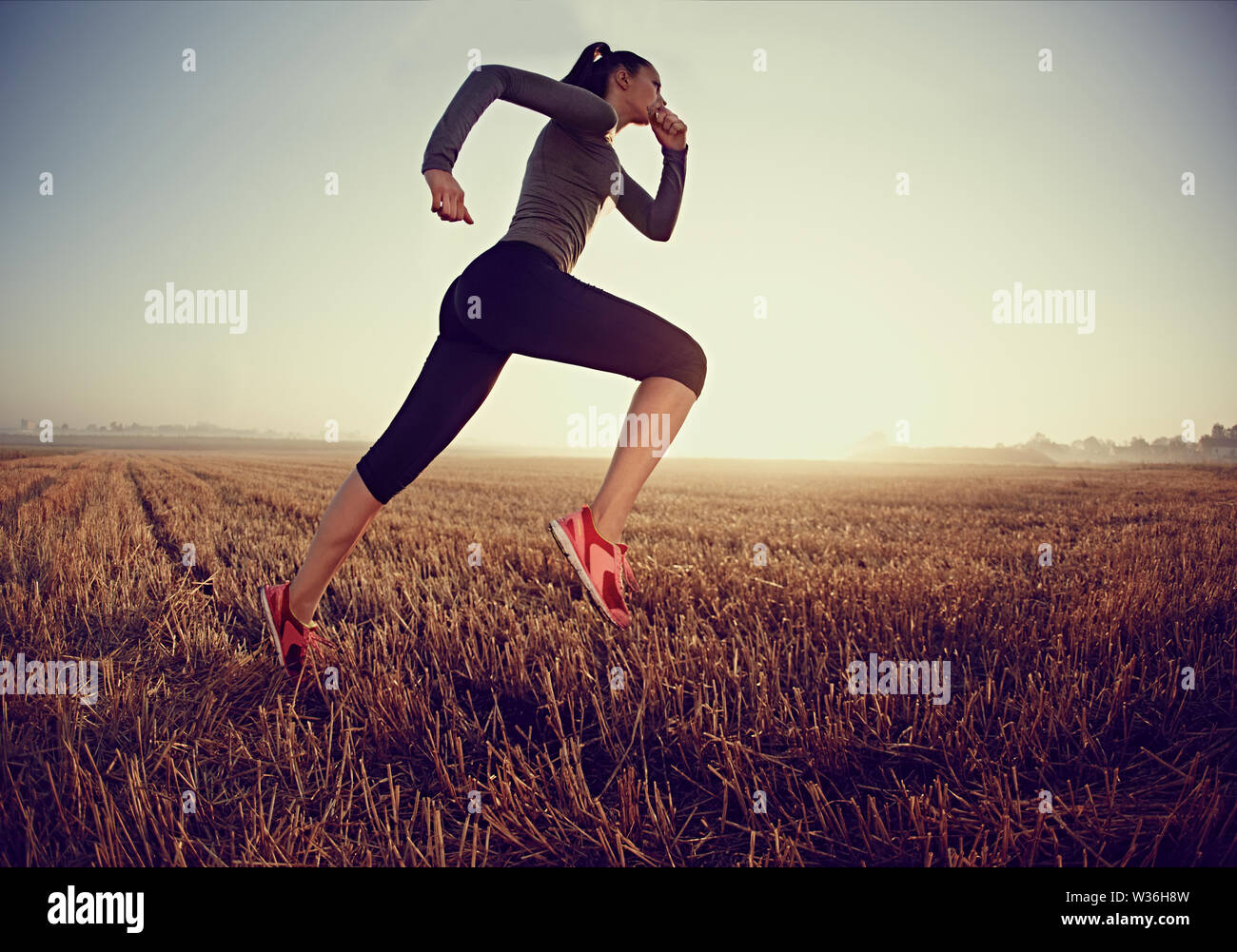 Sprint training field hi-res stock photography and images - Alamy