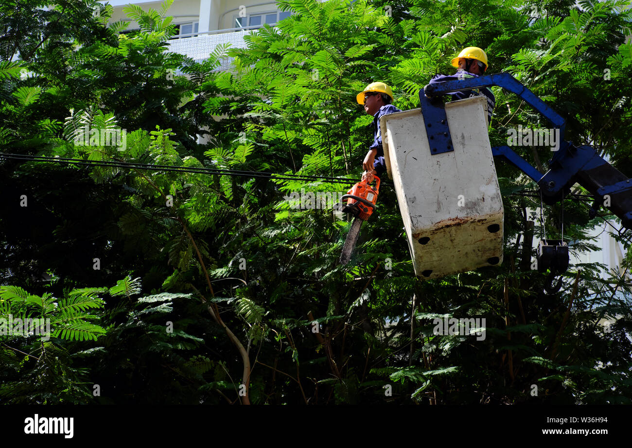 Ho Chi Minh city, Vietnamese worker work on boom lift to cut branch of ...