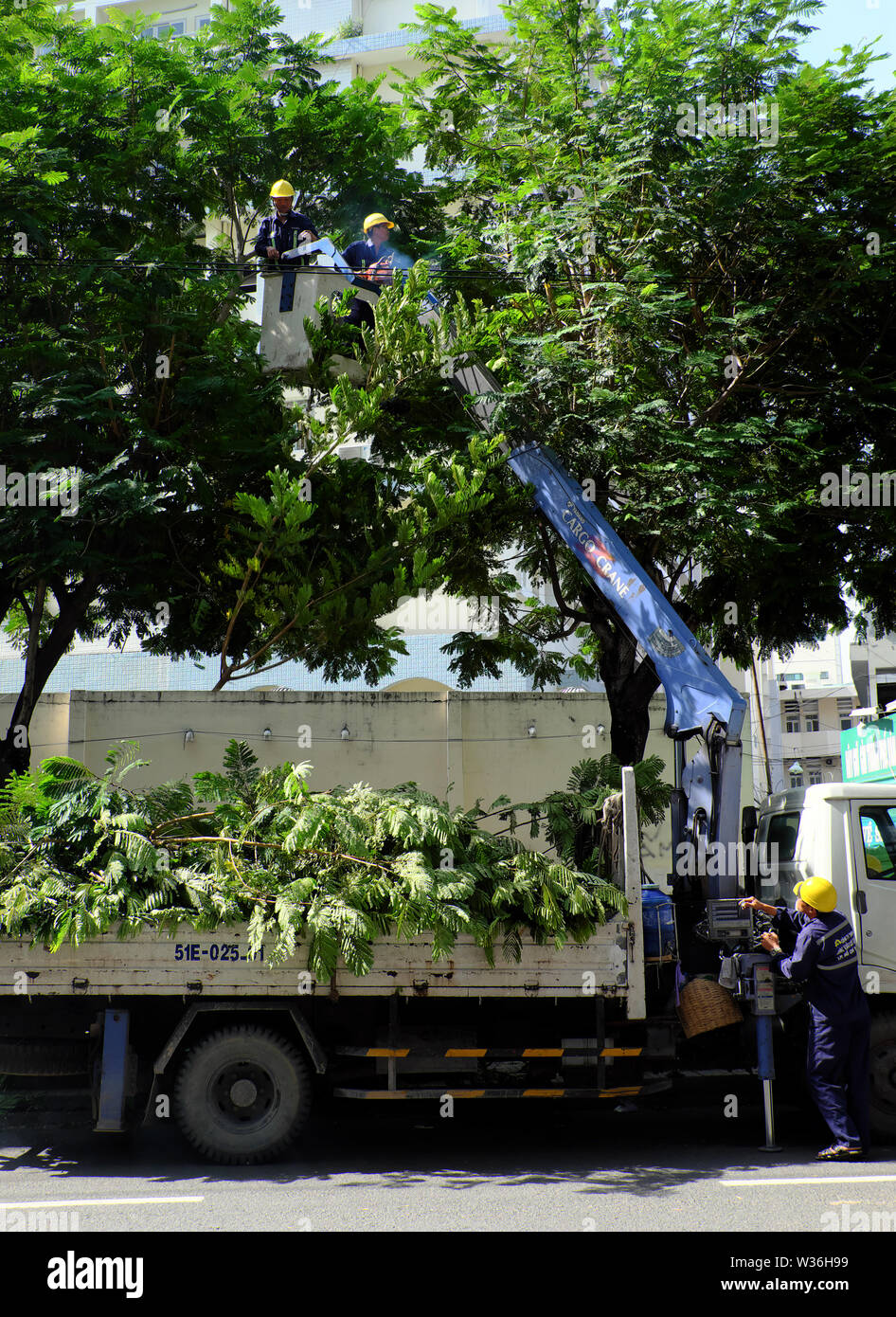 Crane lifts tree hi-res stock photography and images - Alamy