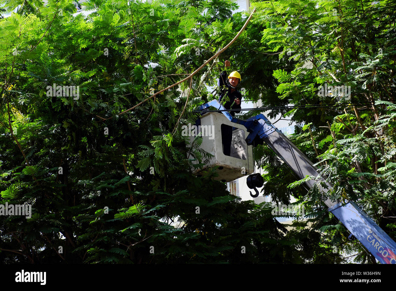 Crane lifts tree hi-res stock photography and images - Alamy