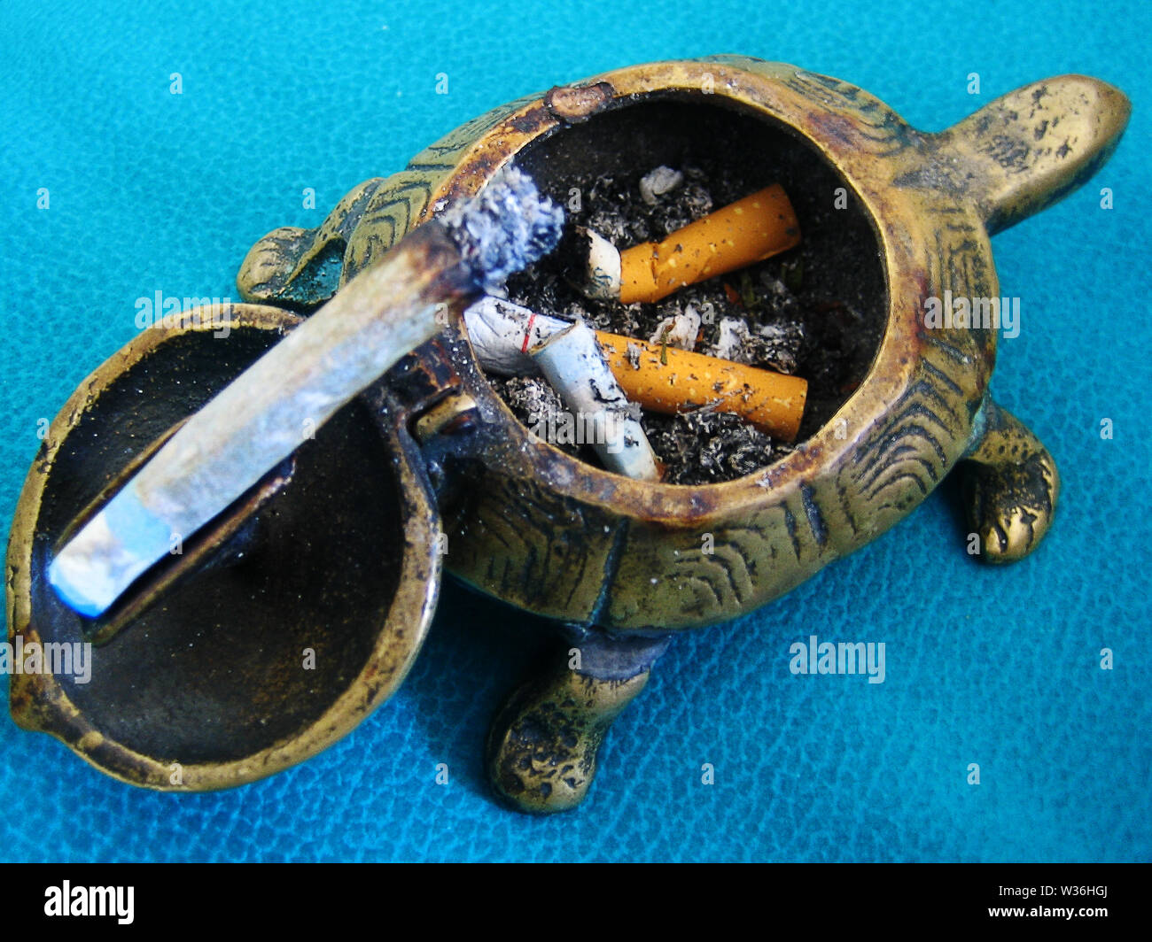Cigarette vs turtle macro background Stock Photo - Alamy