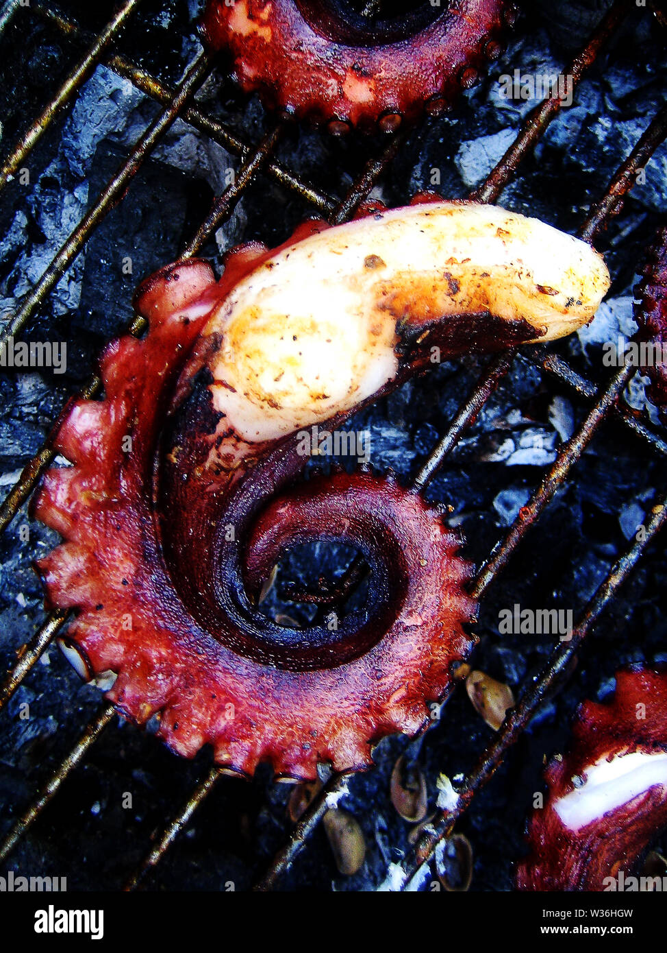 Octopus feet macro background summer grill on the beach wallpaper Stock ...