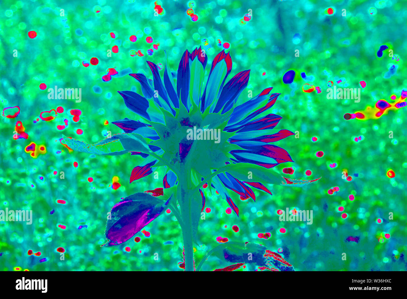 Psychedelic flower hi-res stock photography and images - Alamy