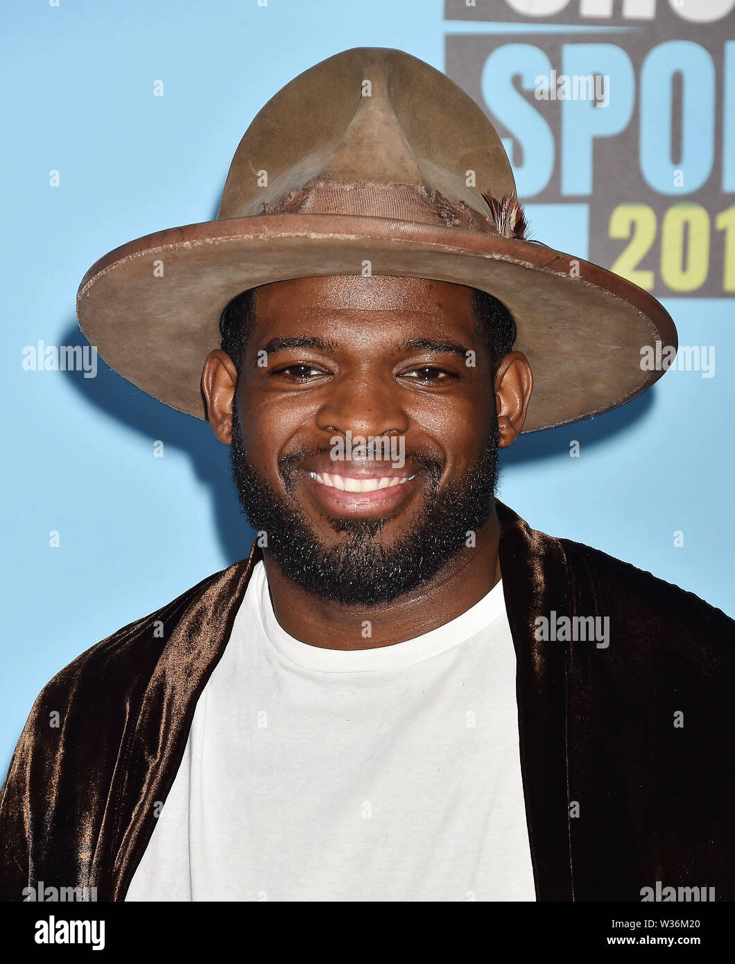 P k subban hi-res stock photography and images - Alamy