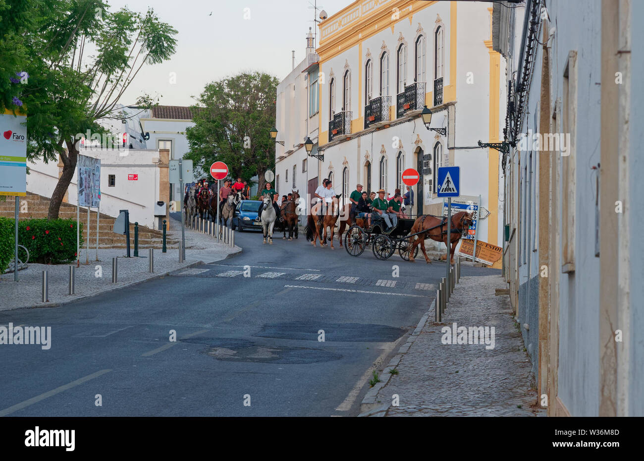 Portuguese horses hi-res stock photography and images - Alamy