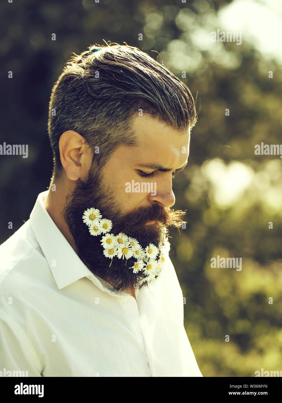 Handsome hipster man brunette with daisy flowers in beard in black ...
