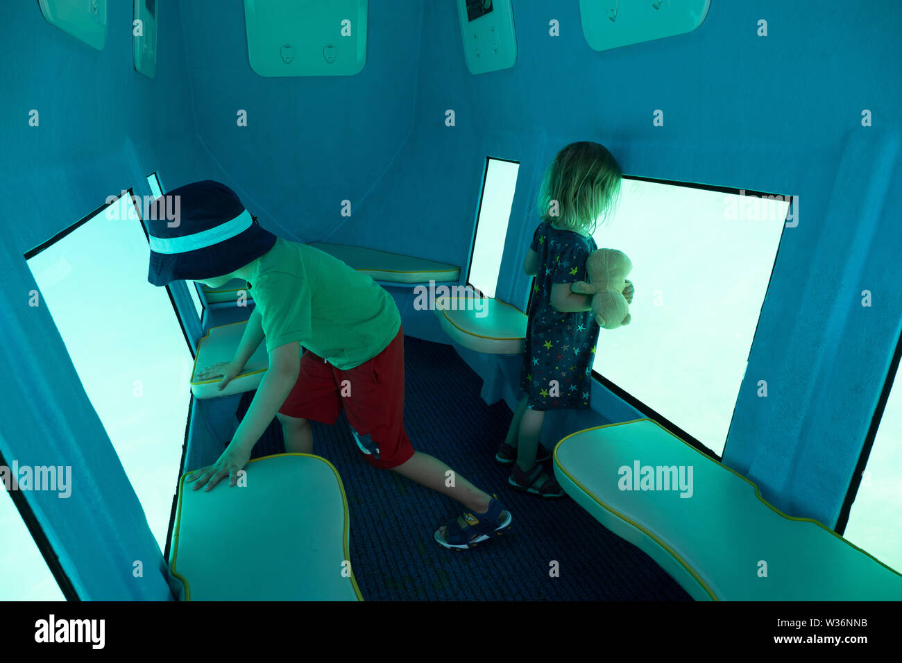 3 and 5 years old kids looking through the window of a glass bottom ...