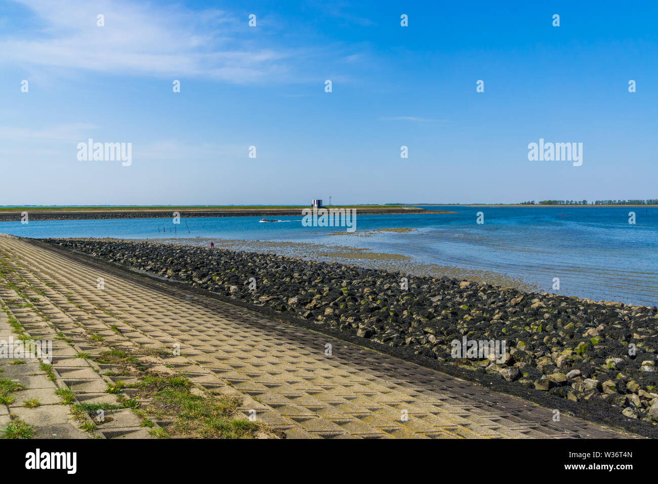 the beach of tholen with a blue sky and sea rocks, Bergse diepsluis ...
