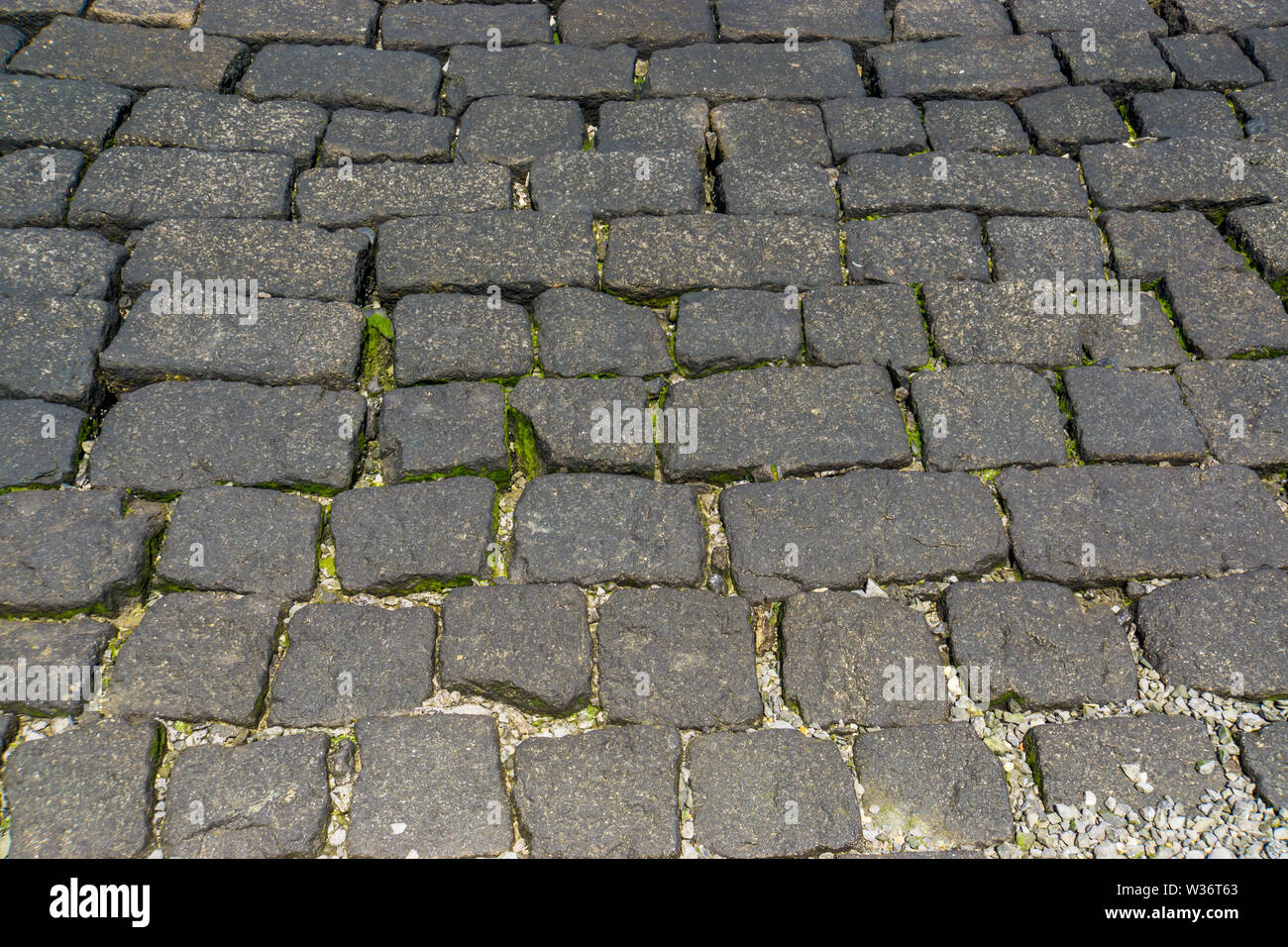 Cobblestone Path Background