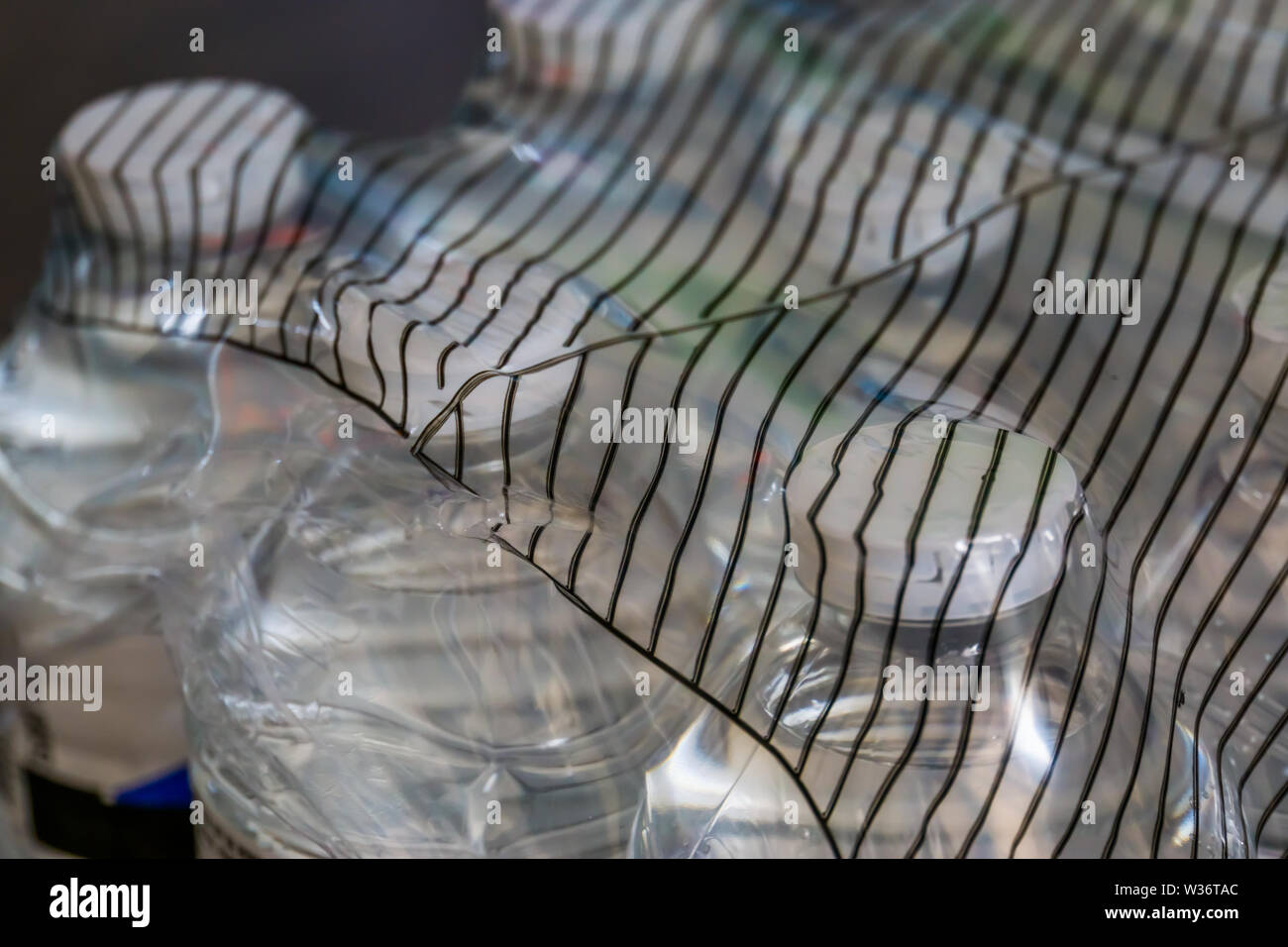 package of plastic water bottles from a side view, transparent pack ...