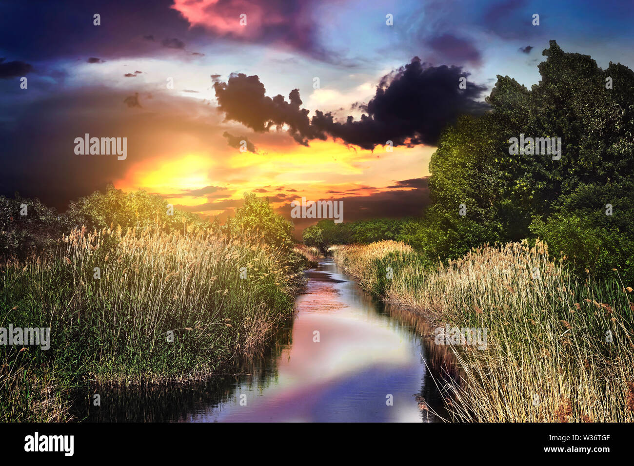 river with reeds on thethe banks of Stock Photo - Alamy