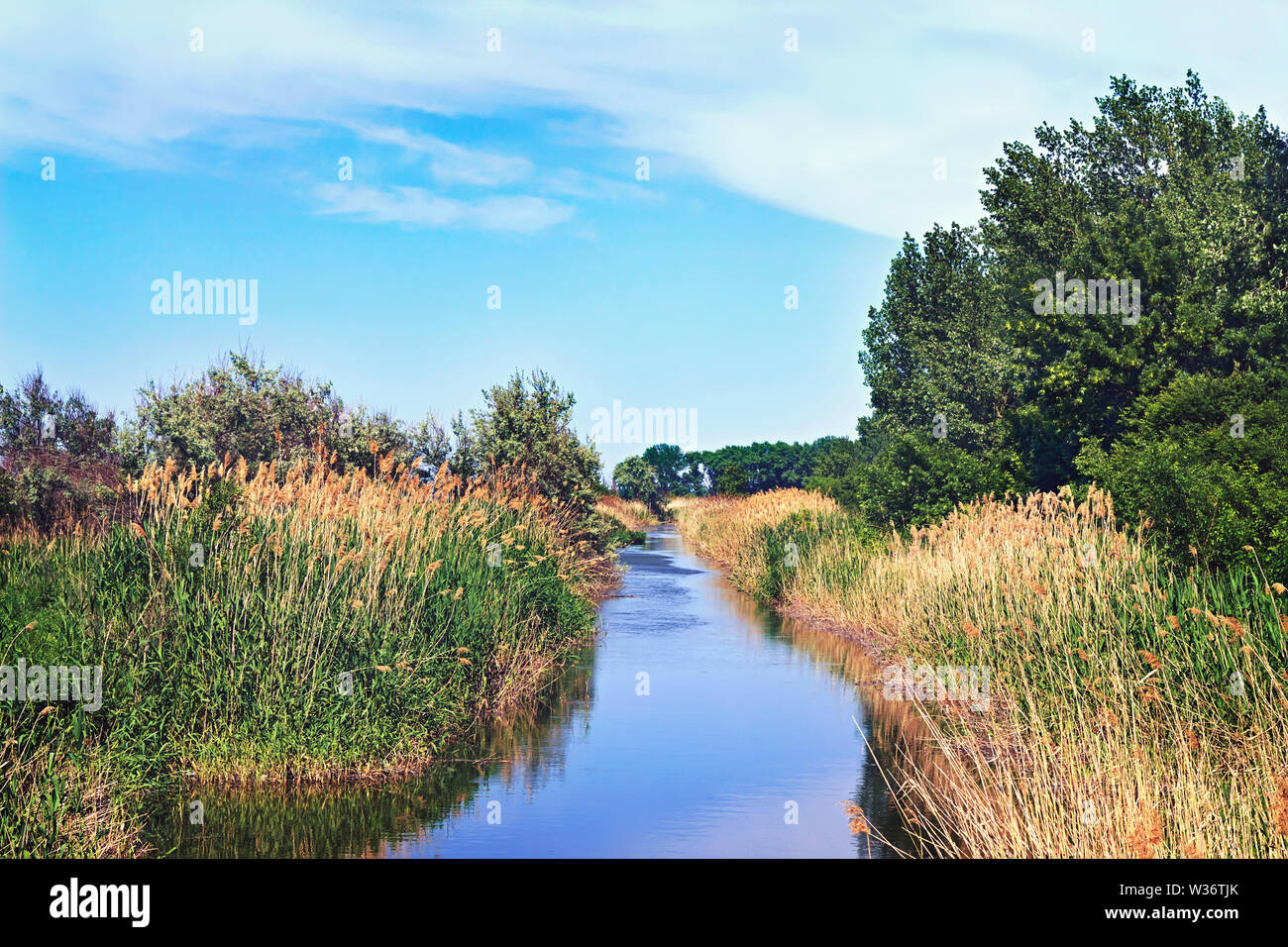 river with reeds on thethe banks of Stock Photo - Alamy