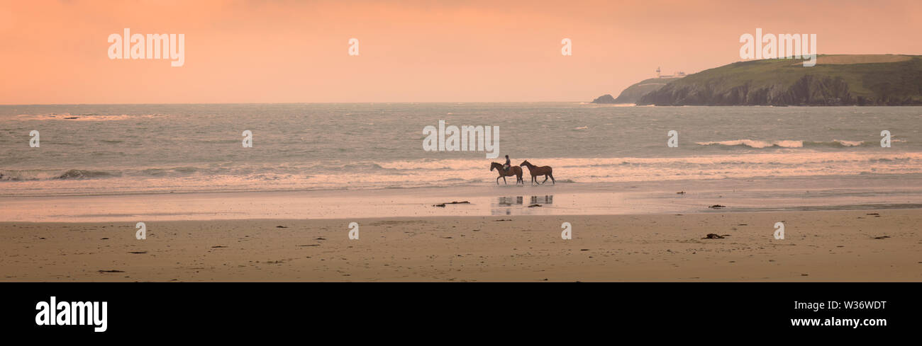 Horse rider leading second horse in the shallows of Owenahincha Beach ...