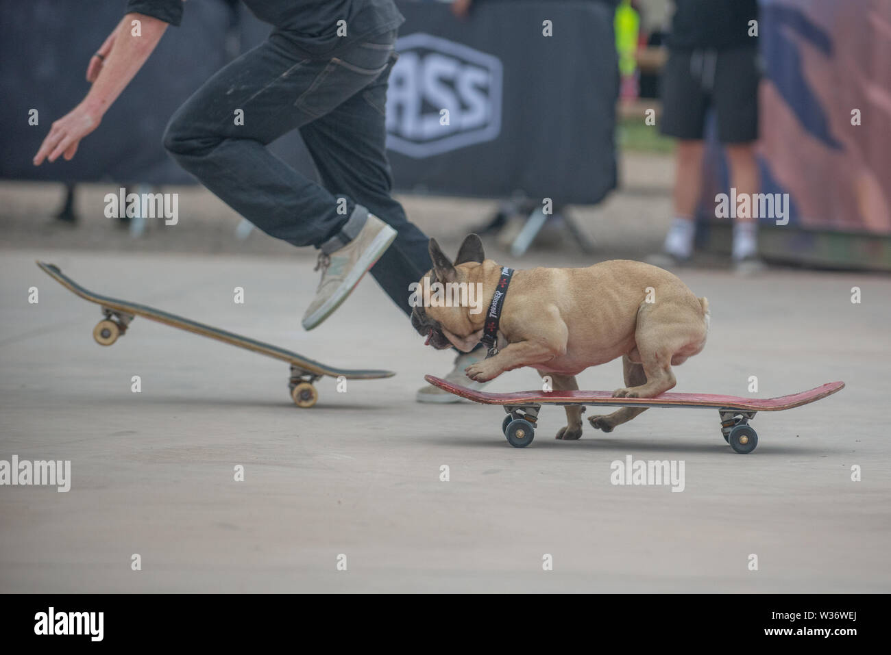 Tony Hawk is widely regarded as the best skateboarder on the planet ...