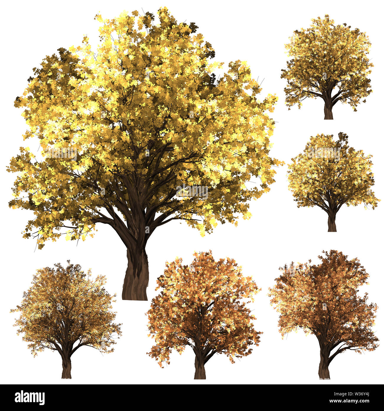 Background tree stems texture Cut Out Stock Images & Pictures - Alamy