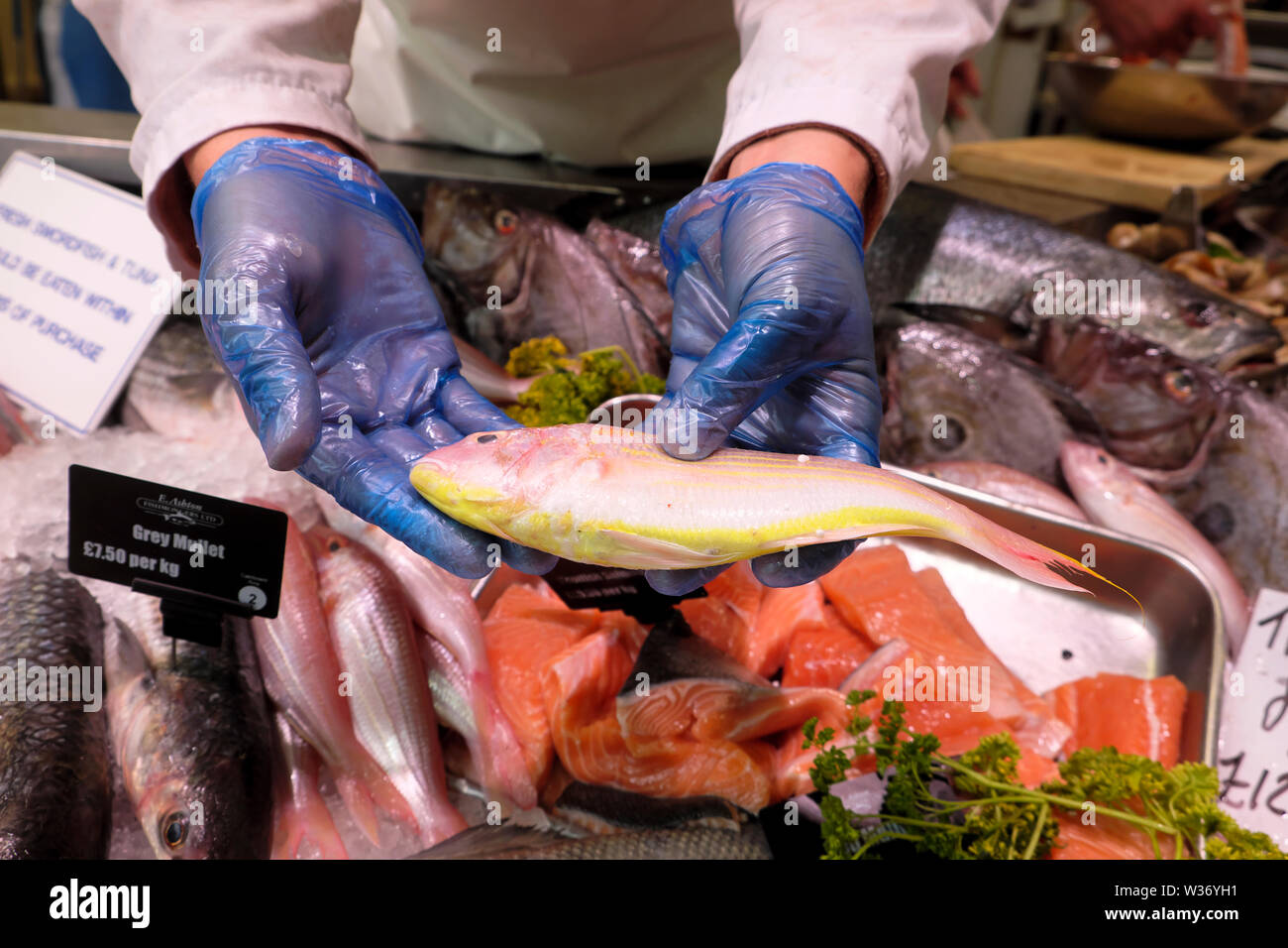 Fishmonger cardiff hi-res stock photography and images - Alamy
