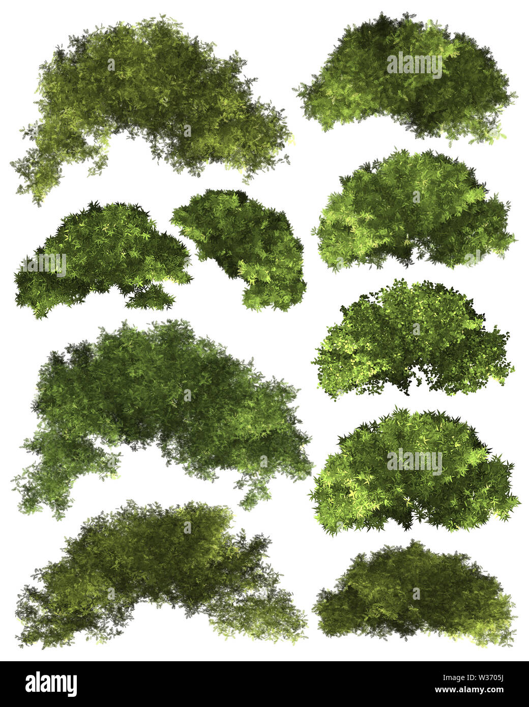 Green Forrest tree background. 2 set Illustration tree Stock Photo - Alamy