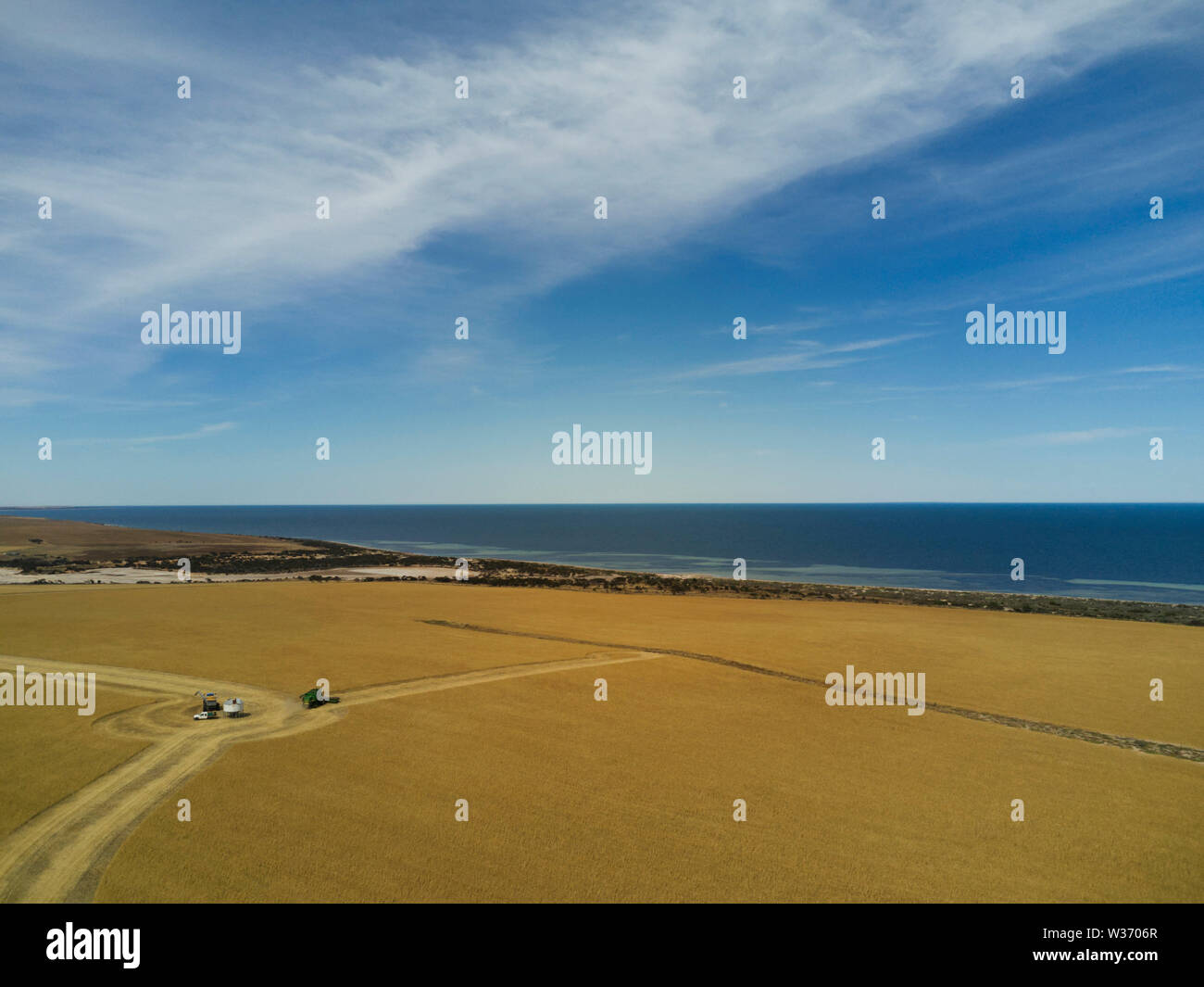 Aerial of wheat harvesting with combine harvester on the coastal lands ...