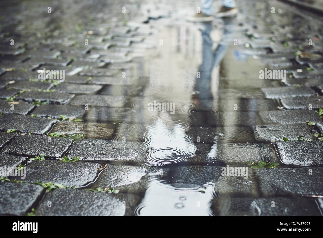 Rain Puddle Street