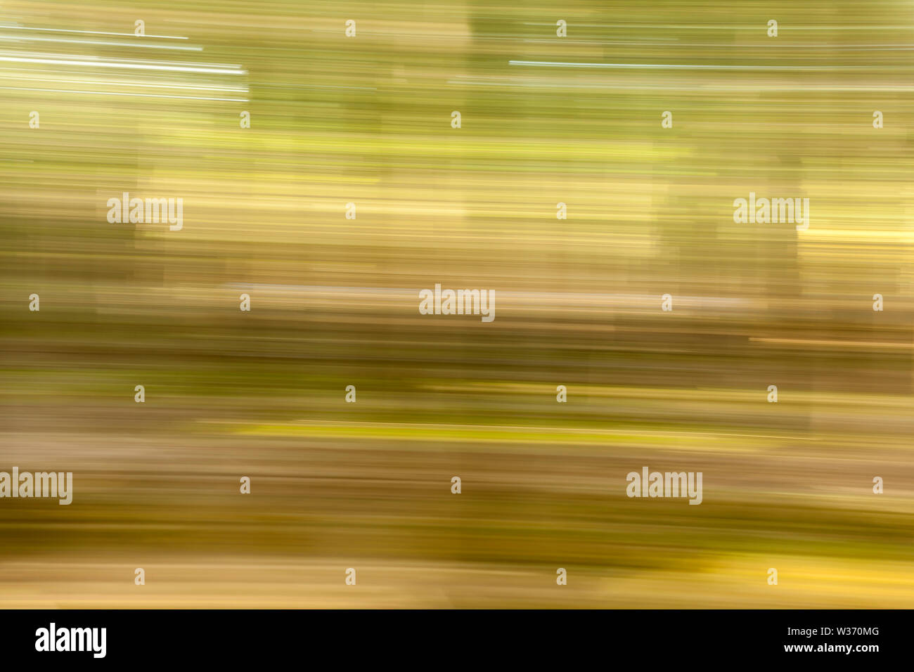 Full-frame view of a long exposure horizontally swiveled in the forest ...