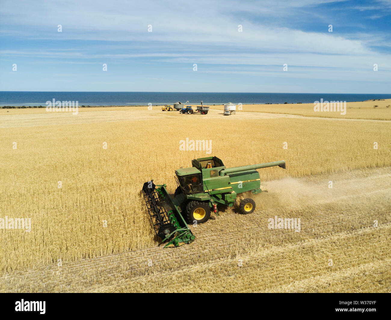 Aerial of wheat harvesting with combine harvester on the coastal lands ...