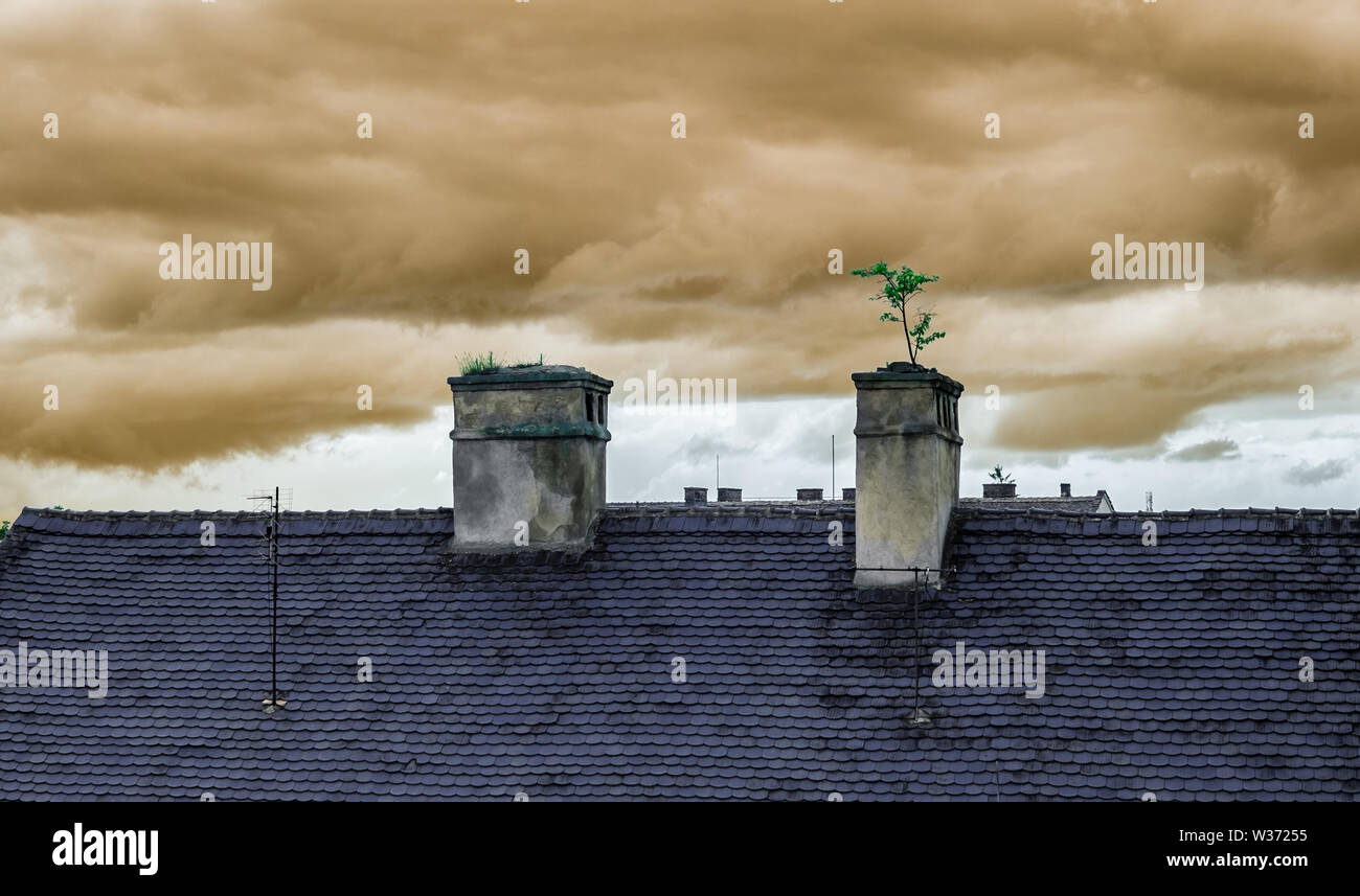 Acacia tower hi-res stock photography and images - Alamy