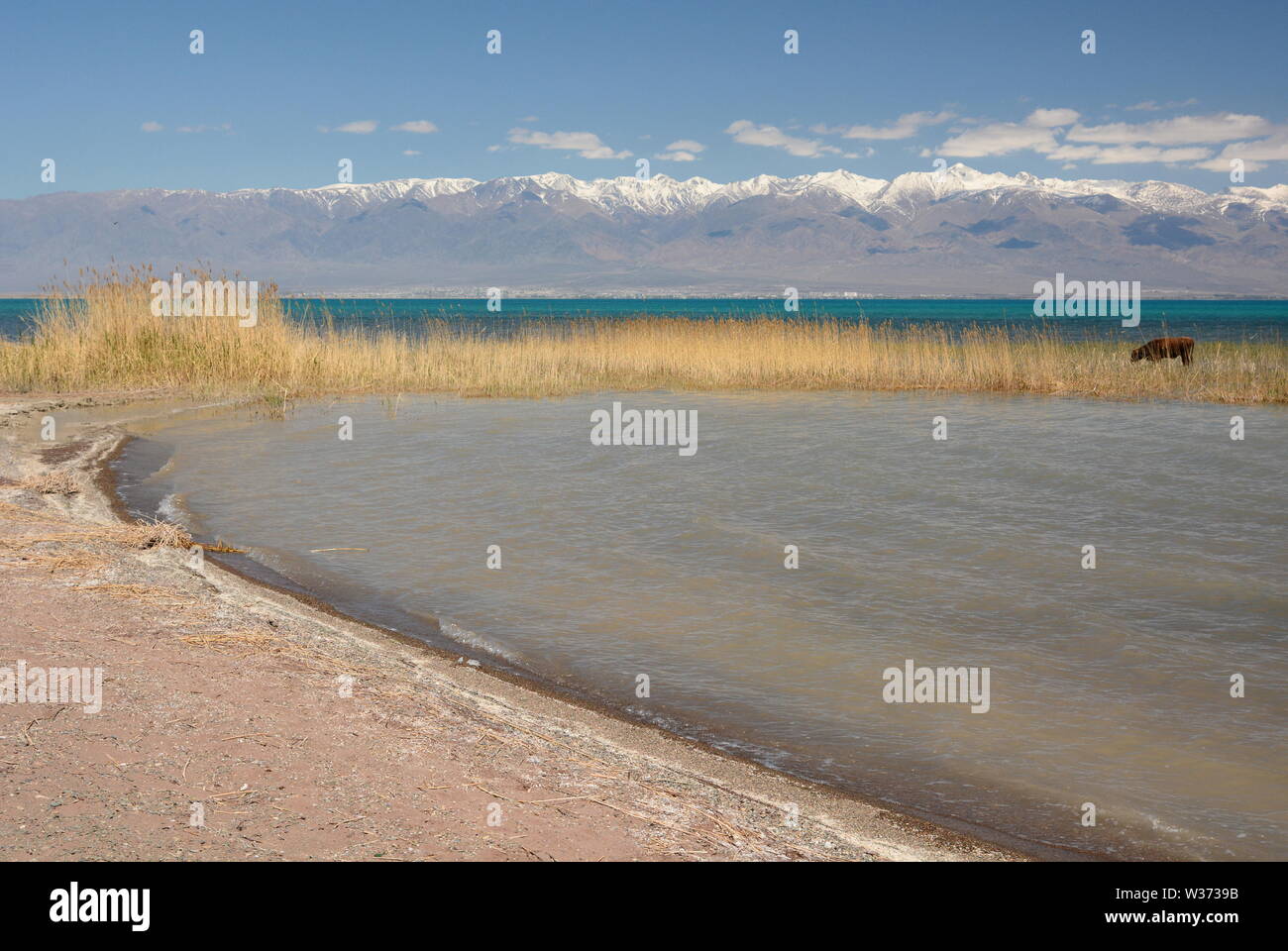 Balykchy kyrgyzstan hi-res stock photography and images - Alamy