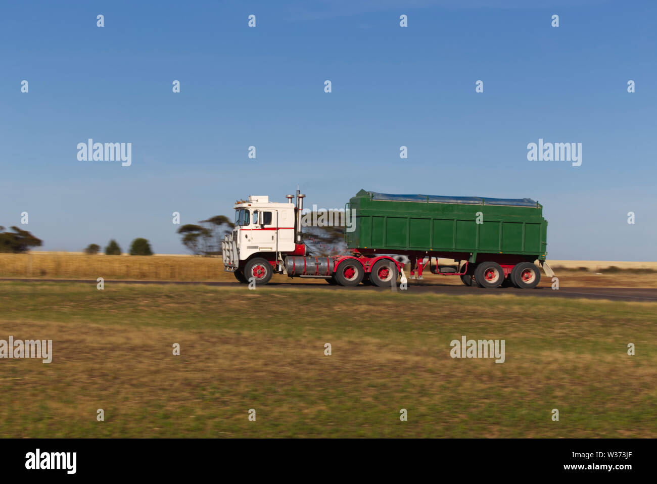 Grain trucks hauling the wheat barley harvest to the nearst grain silo ...