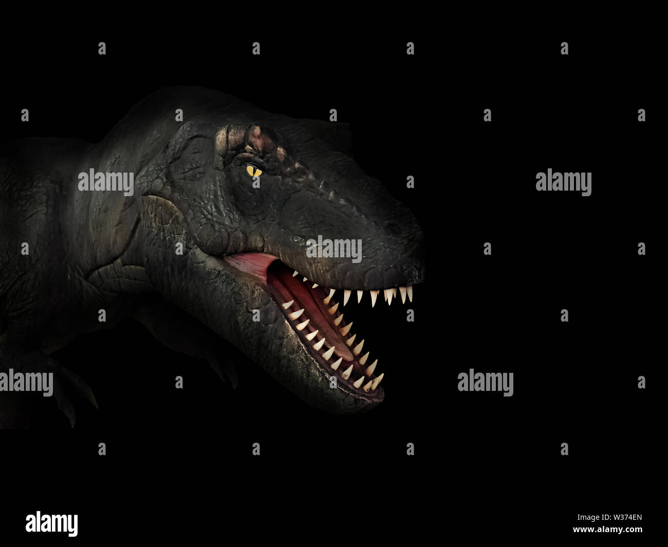 Carnivorous dinosaur black hi-res stock photography and images - Alamy