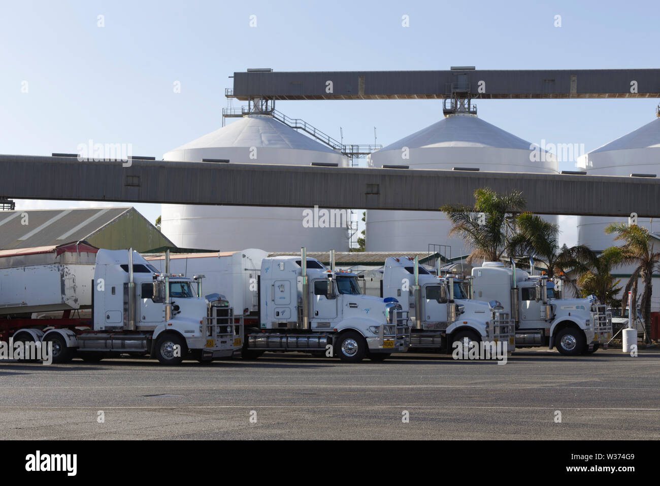 Row of semitrailer trucks waiting to unload grain to the silo's at Port ...