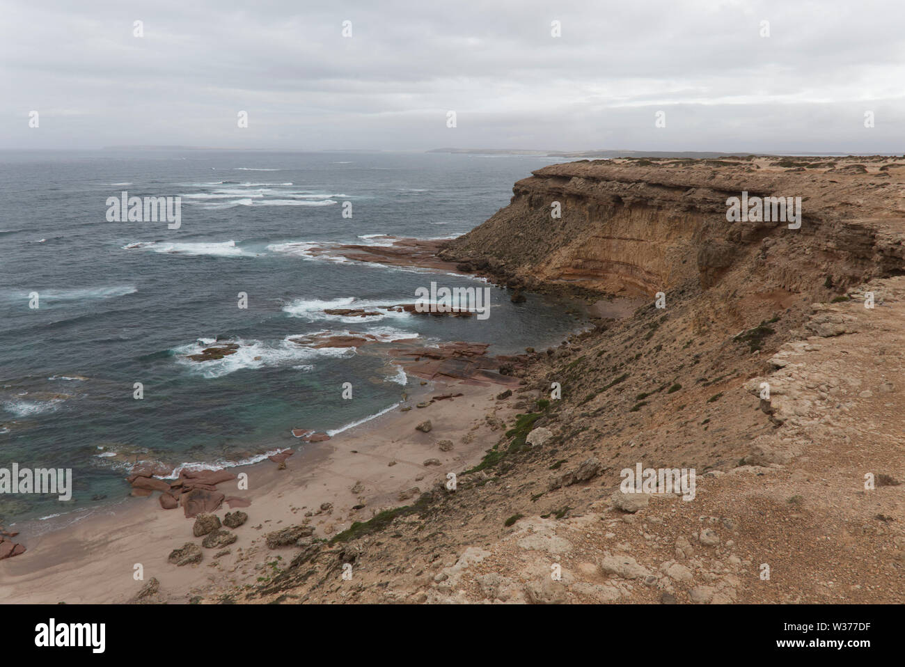 The only mainland Sea Lion colony which is found at Point Labatt Eyre ...