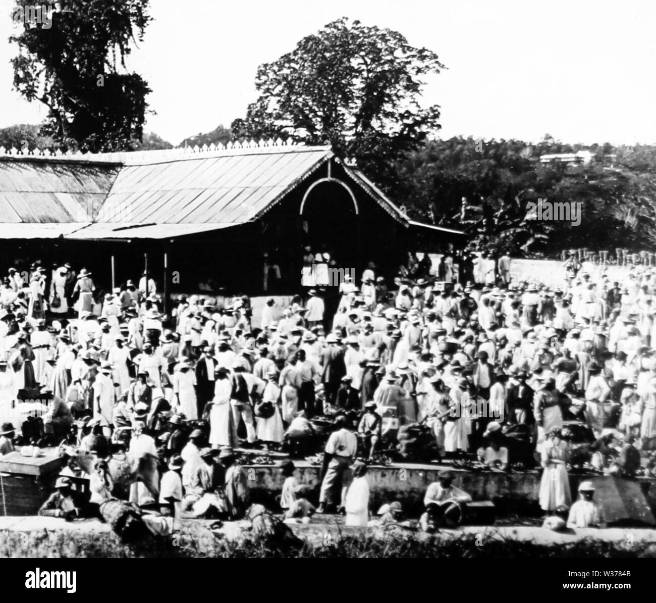 Mandeville Jamaica High Resolution Stock Photography and Images - Alamy