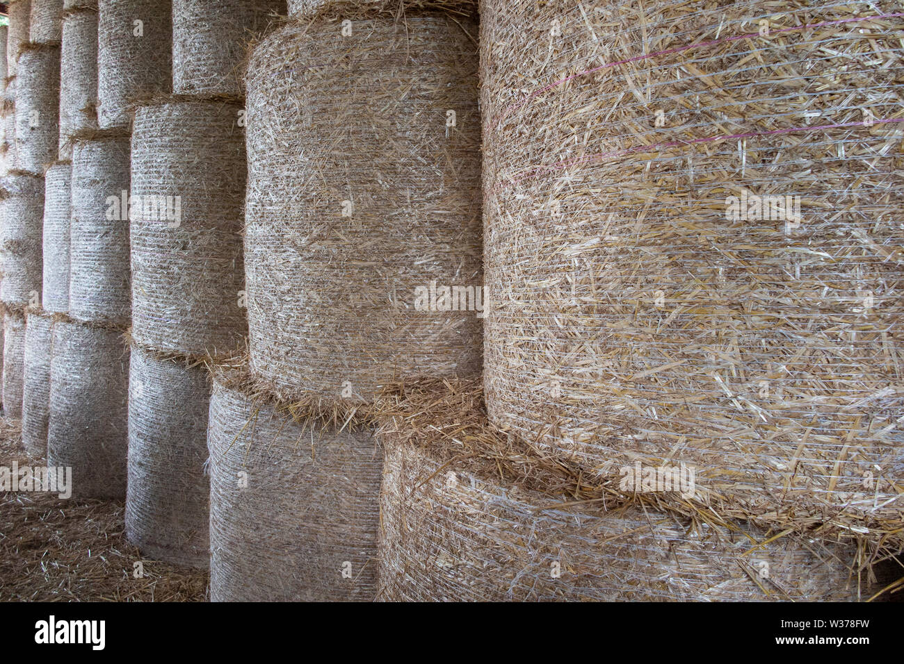Round hay bales stacked in a barn in Kent, England Stock Photo - Alamy