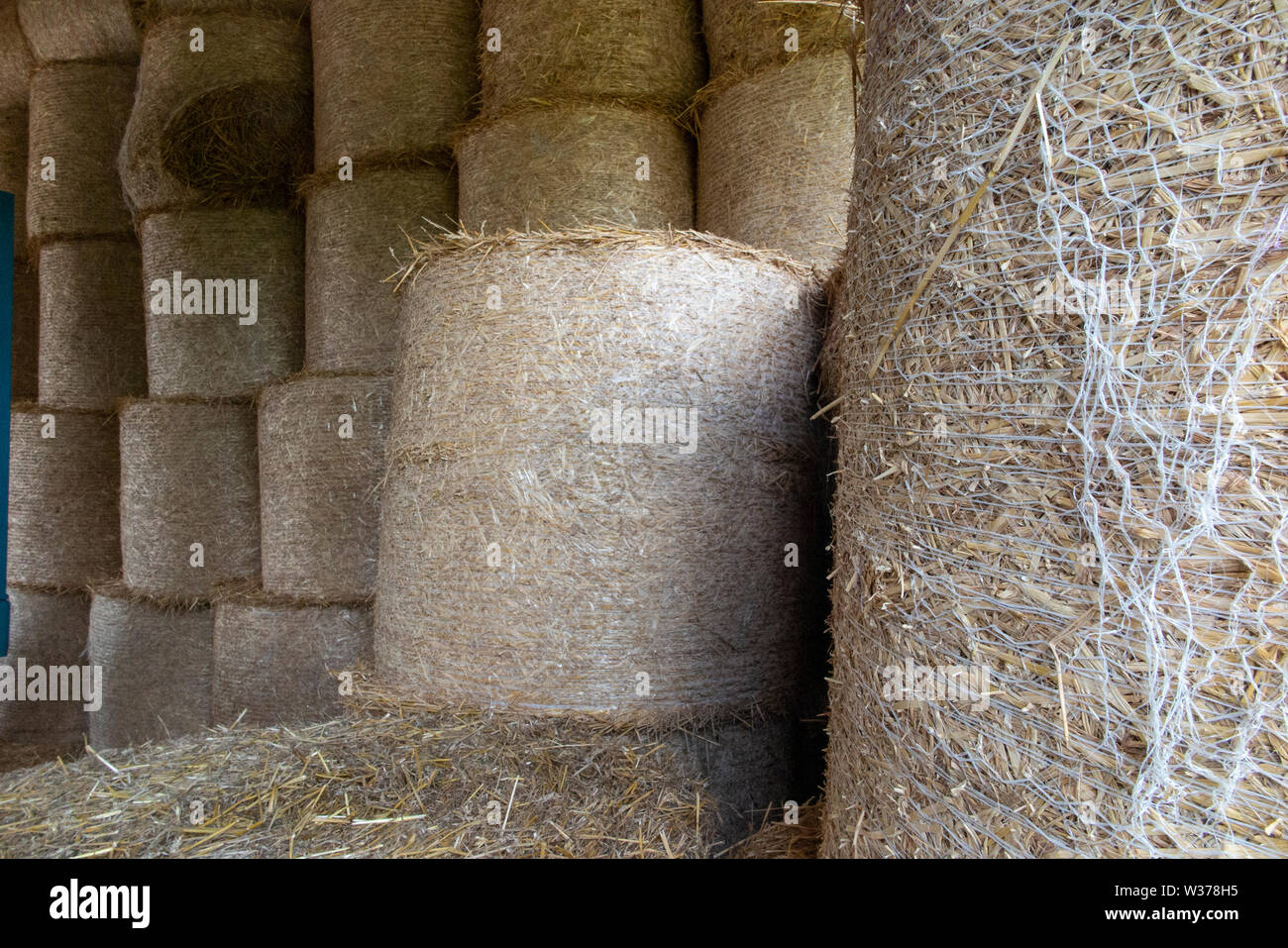 Round hay bales stacked in a barn in Kent, England Stock Photo - Alamy