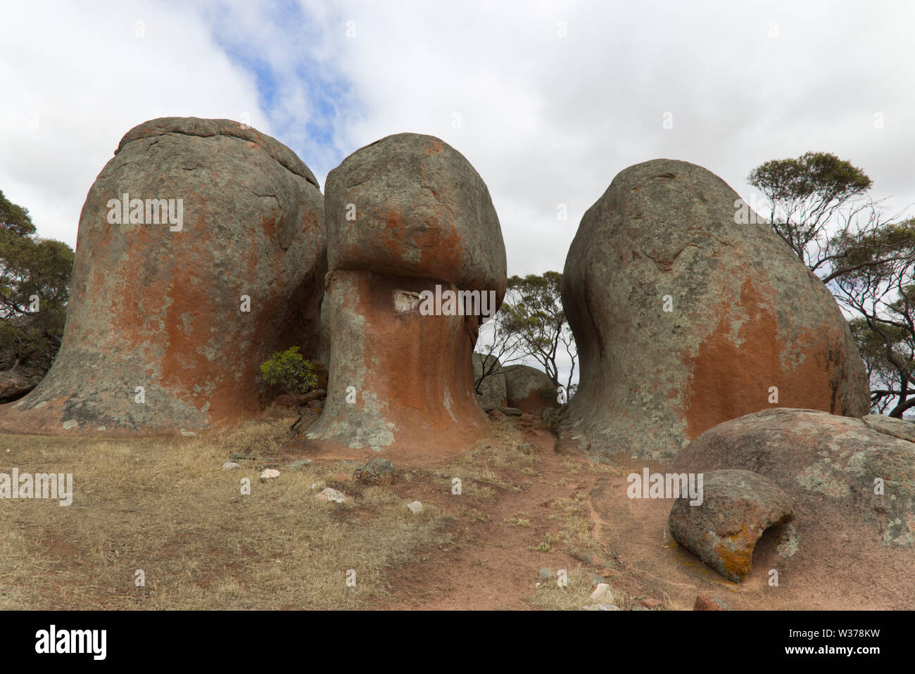 Murphy’s Haystacks are ancient, wind-worn pillars and boulders of pink ...