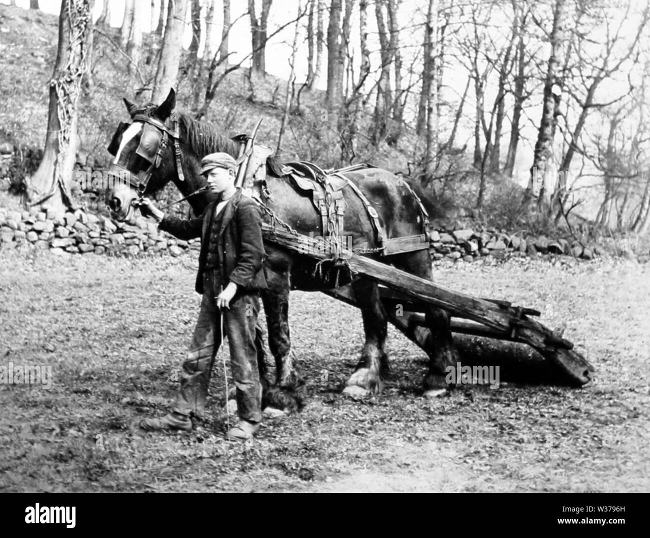 Rolling land with horse Stock Photo - Alamy