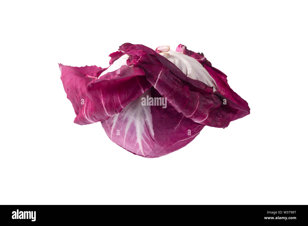 whole red radicchio isolated on white background Stock Photo - Alamy