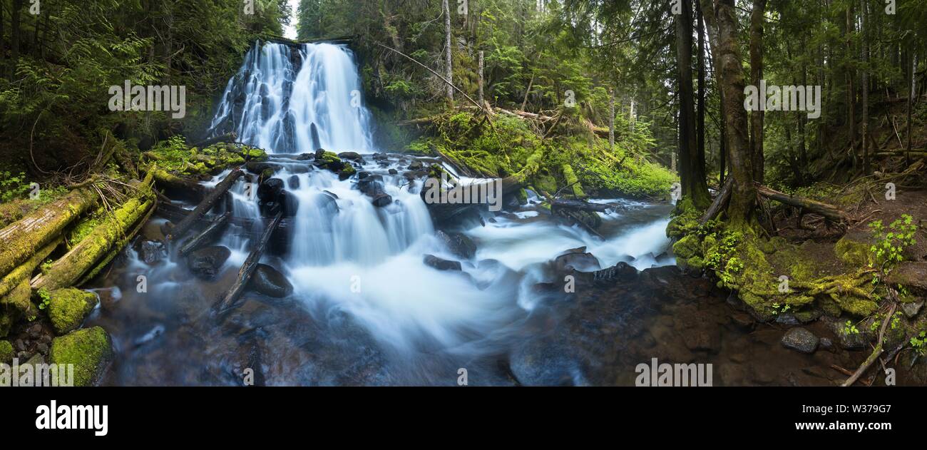 Awesome waterfall in Oregon state, United States, during summer ...