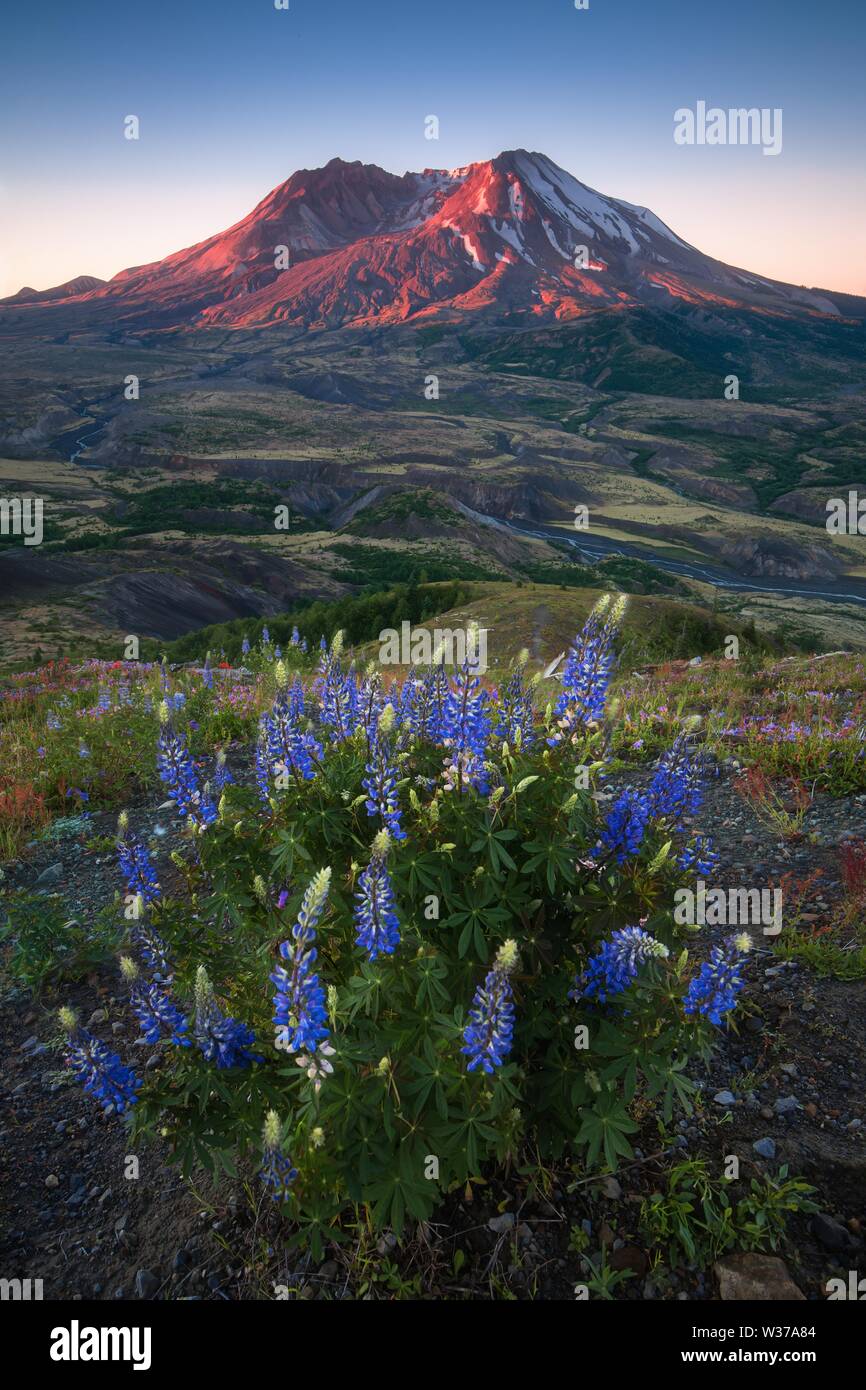 The breathtaking views of the volcano and amazing valley of flowers ...