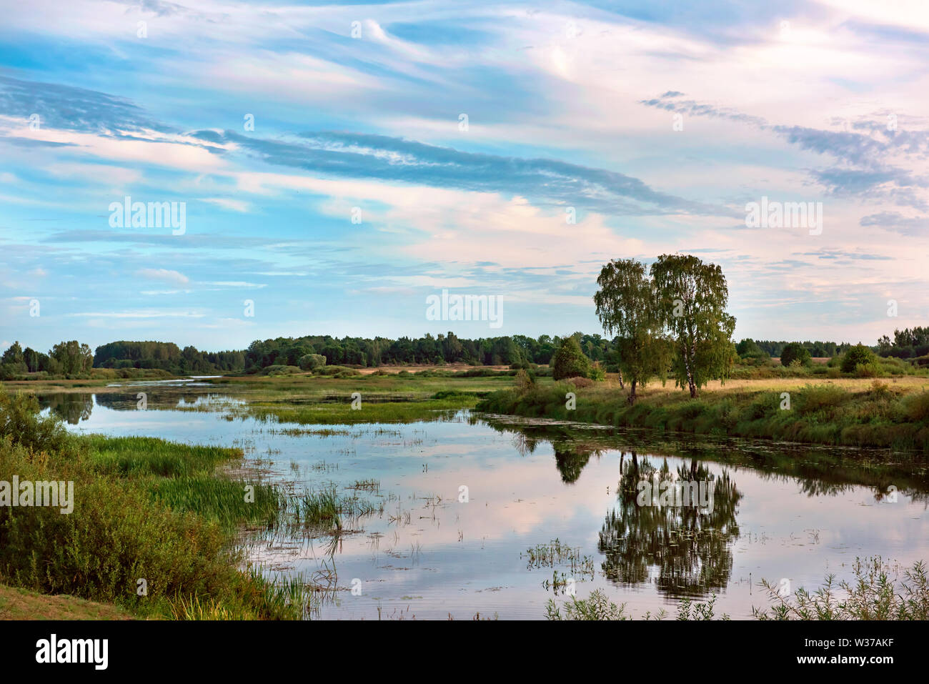 Overgrown river hi-res stock photography and images - Alamy