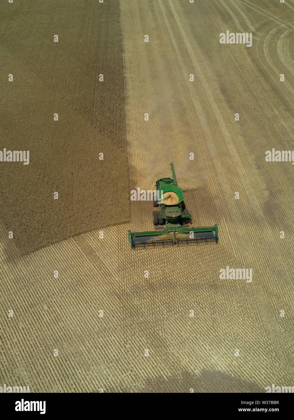 Aerial of combine harvester harvesting wheat in large paddock Eyre ...