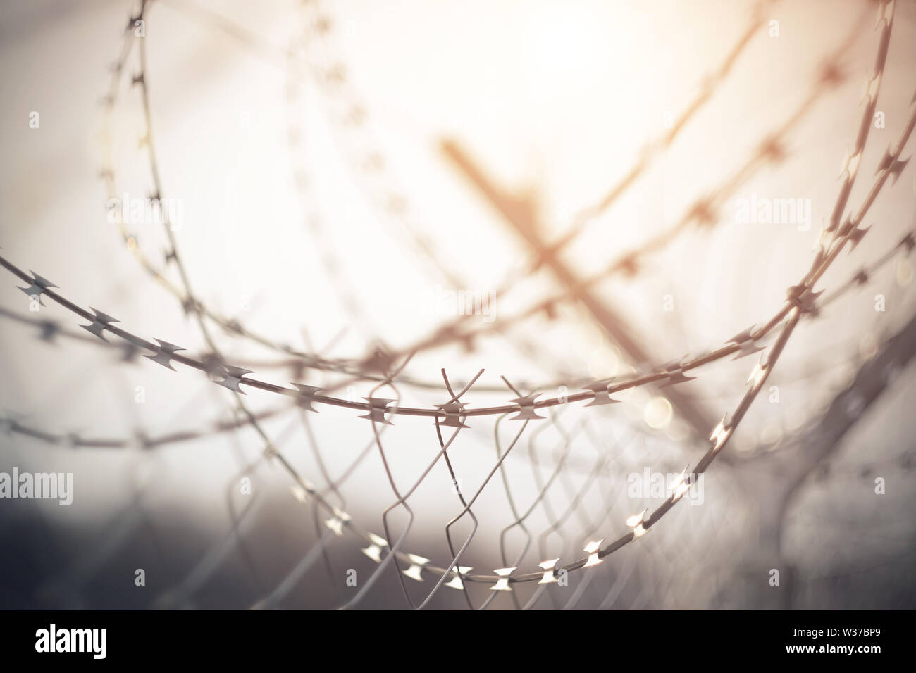 The mesh of the metal fence on top of the wound spiral barbed wire, a ...